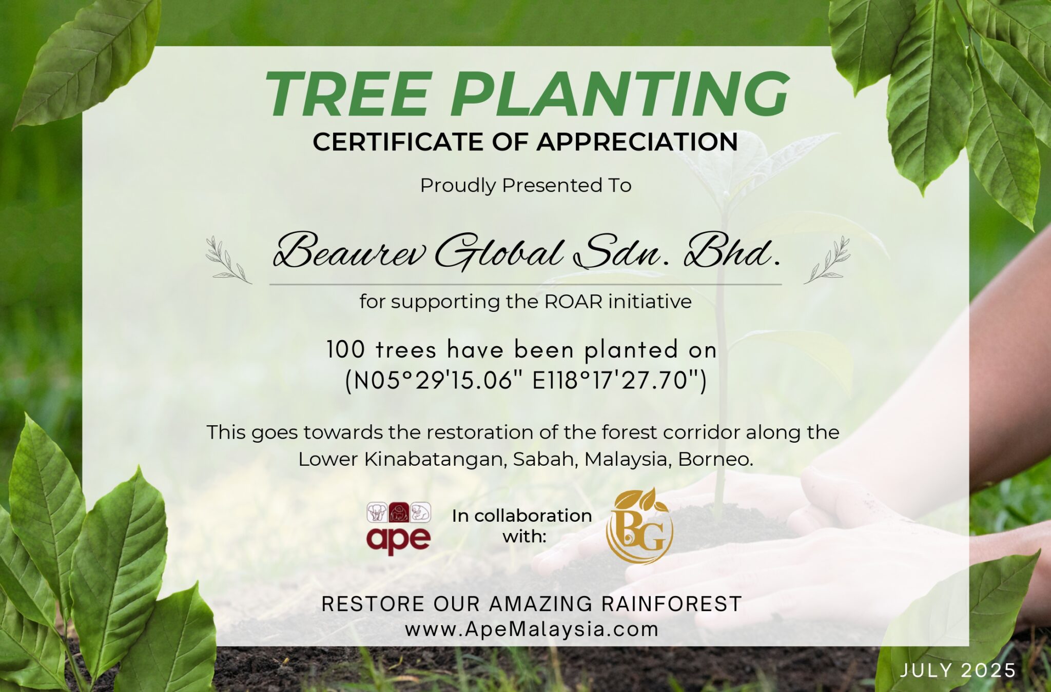 Releaf the Future: Sabah Tree Planting with APE Malaysia - Beaurev Global